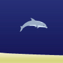 Dolphin Olympics – Friv for School